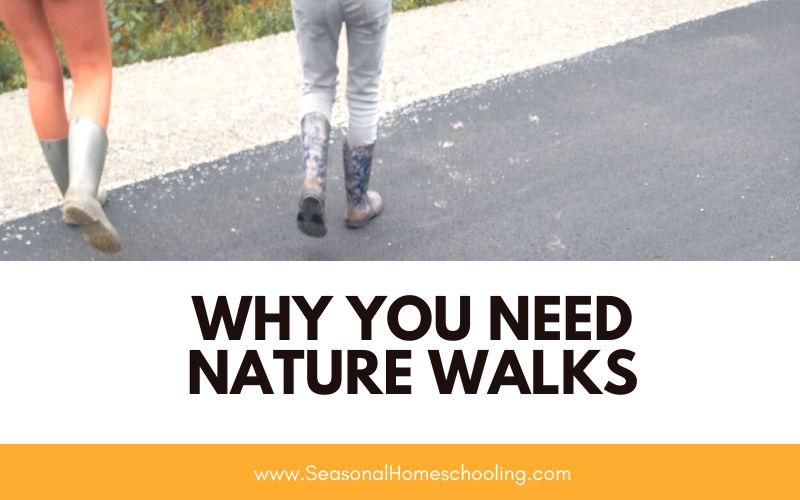 Nature Photography Walk