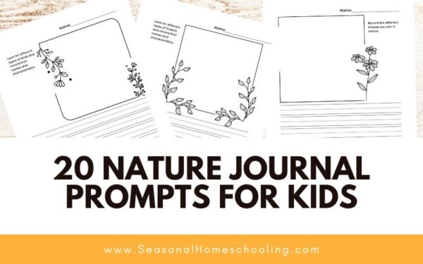 20 Nature Drawing Prompts for Kids