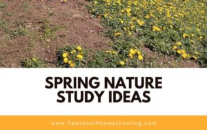 Spring Nature Study Ideas