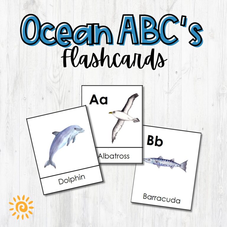 Ocean Alphabet Flashcards