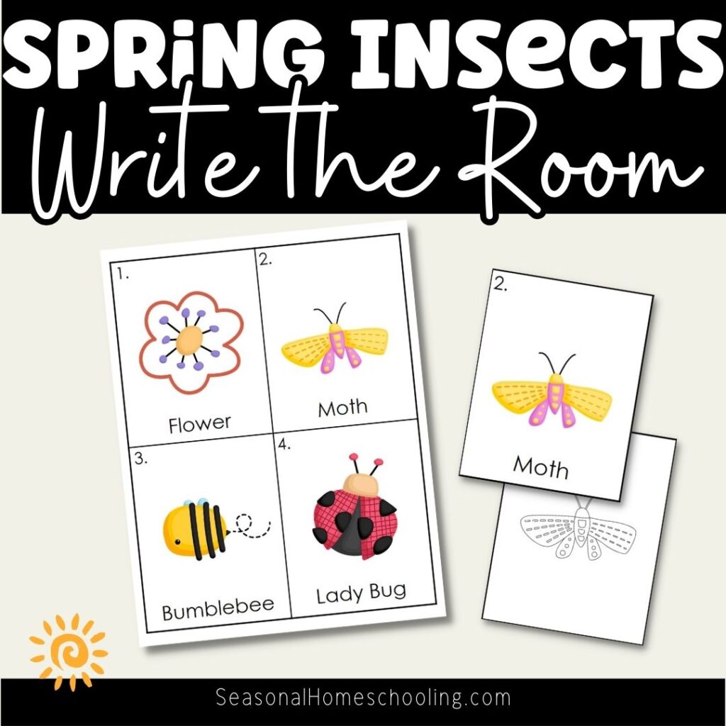 Spring Write the Room - Bugs - Insects