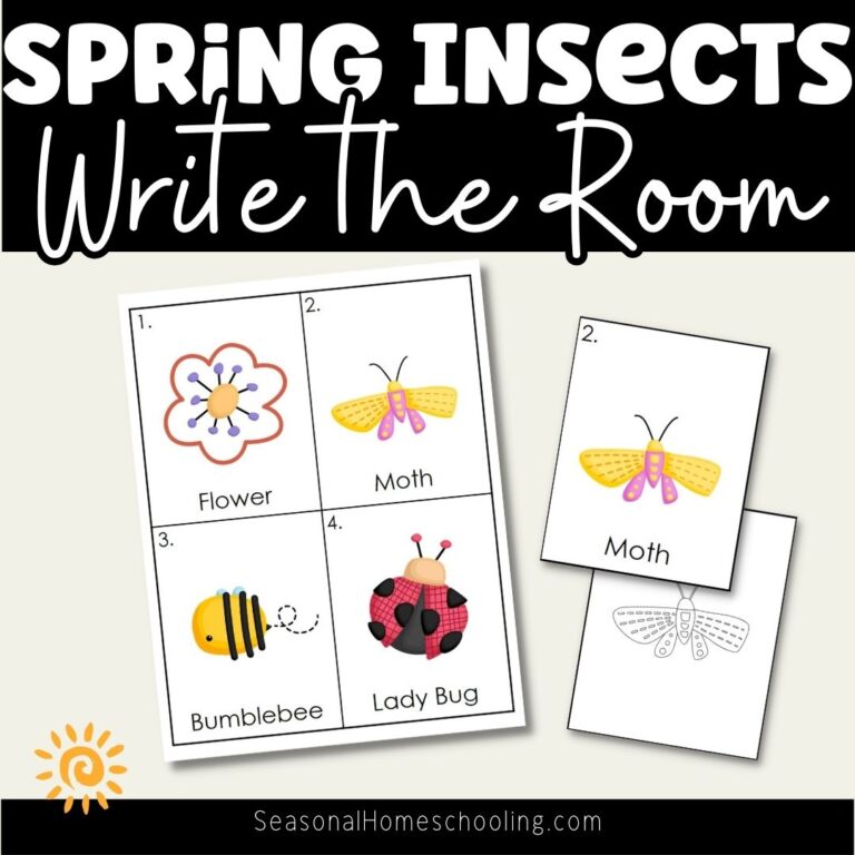 Spring Write the Room - Bugs - Insects