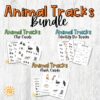 Exploring Animal Tracks with Kids - Seasonal Homeschooling
