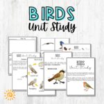 Avian Wonders: Comprehensive Bird Unit Study