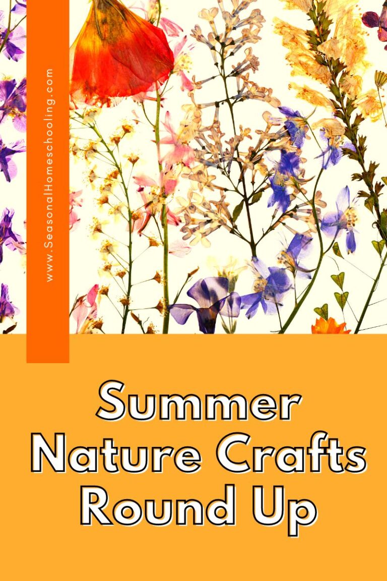 Summer Nature Crafts Round-Up