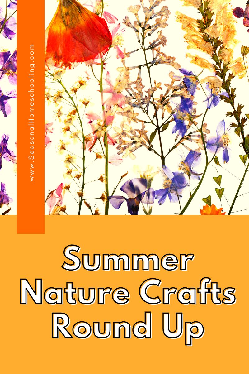 Summer Nature Crafts Round-Up