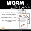 Earthworm Life Cycle Worksheets & Activities | Science Printables ...