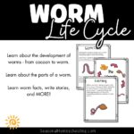 Worm Life Cycle Printables