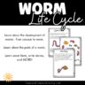 Worm Life Cycle Printables