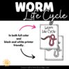Worm Life Cycle Printables
