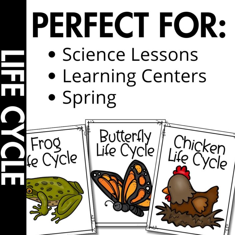 Life Cycle Bundle - Animal Life Cycles Printable Sets