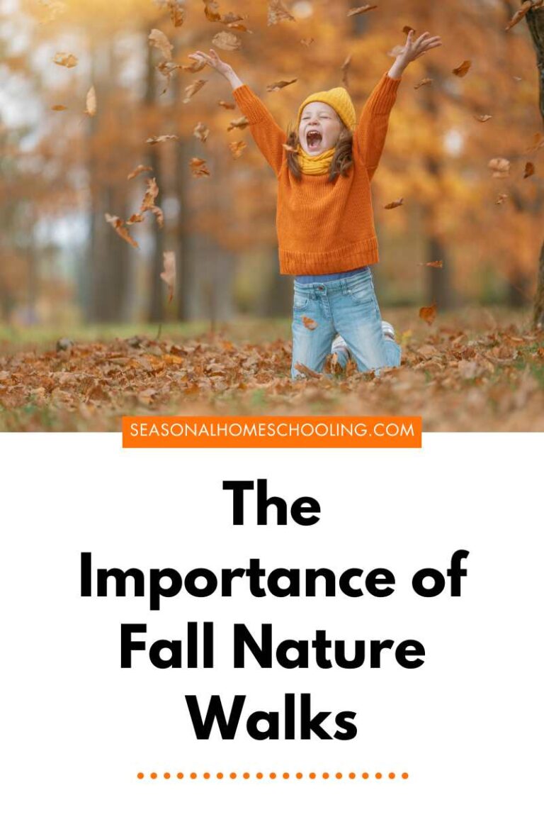 The Importance of Fall Nature Walks in Your Homeschool Routine