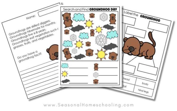 Groundhog Day Activities Set