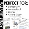 Arctic Fox Unit Study