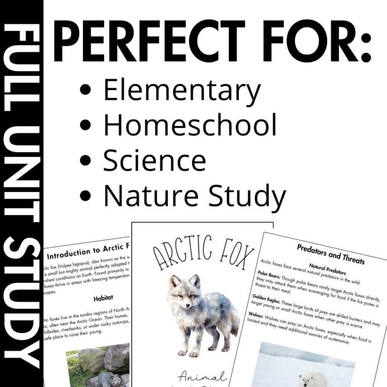 Arctic Fox Unit Study